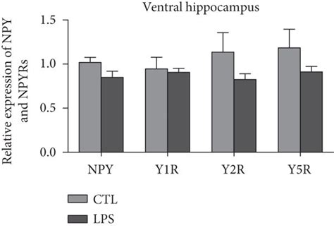 the expression of npy and y2r in the mpfc of the lps group was