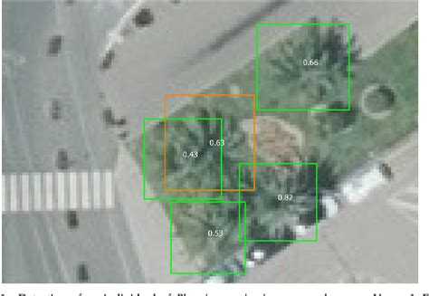 Figure 9 From Individual Palm Tree Detection Using Deep Learning On Rgb