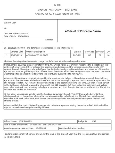 Chelsea Cook Probable Cause Statement Pdf Probable Cause Crime