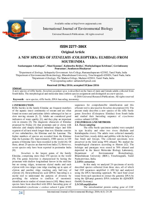 Pdf A New Species Of Stenelmis Coleoptera Elmidae From South India