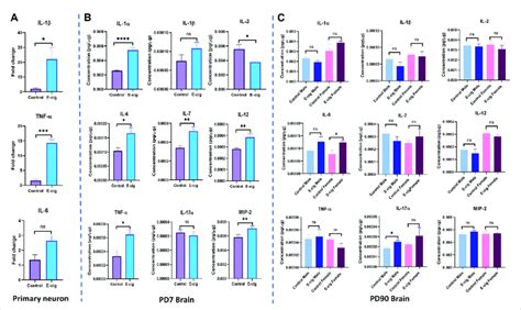 Measurement Of Pro Inflammatory Cytokines In A Primary Neuron B