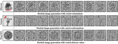 Cryogem Physics Informed Generative Cryo Electron Microscopy