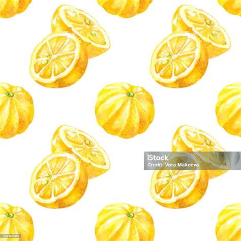 유자 전체 및 절반 밝은 육즙 과일 손으로 그린 수채화 완벽 한 패턴 흰색 절연 감귤에 대한 스톡 벡터 아트 및 기타 이미지