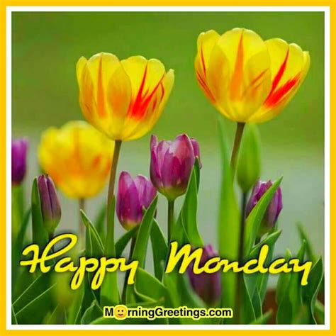 Good Morning Monday Yellow Roses At Glen Kyser Blog
