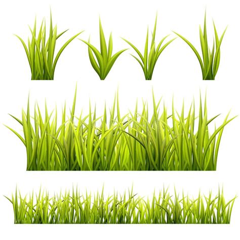 Grass And Herbs Summer Landscape Stock Vector Illustration Of Plants