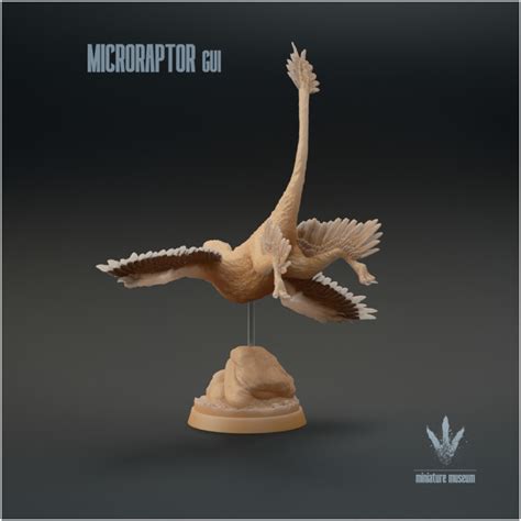3d Printable Microraptor Gui Flying By Miniature Museum