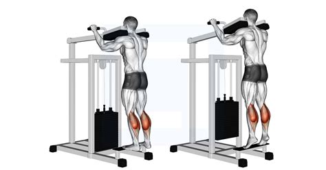 Standing Calf Raise Machine Standing Calf
