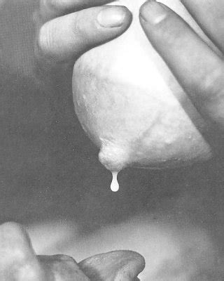 Vintage Milk Maids Porn Pictures XXX Photos Sex Images 308691 PICTOA