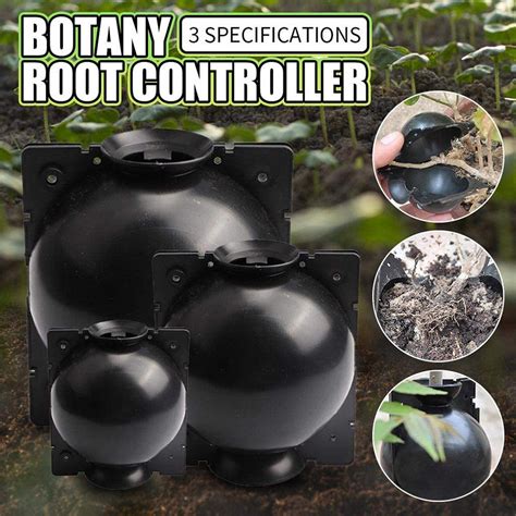 Blossom Plant Rooting Device Assisted Cutting Root Grandado