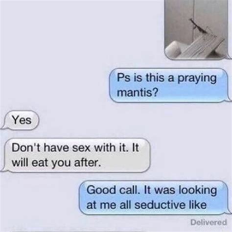 Psis This A Praying Mantis Yes Dont Have Sex With It It Will Eat You After Delivered