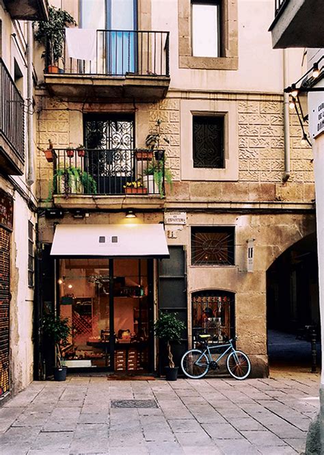 Sex And The City Companion