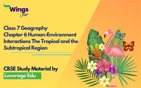👫🌍ncert Class 7 Geography Chapter 6 Human Environment Interactions The