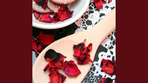 Process Youtube Process Youtube