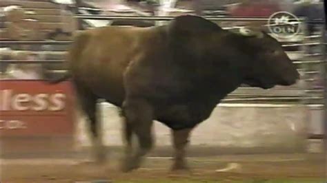 Little Yellow Jacket Bucks Cooper Kanngiesser 04 Pbr Ogden Youtube