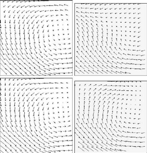comparison of the deformation fields obtained with the original method