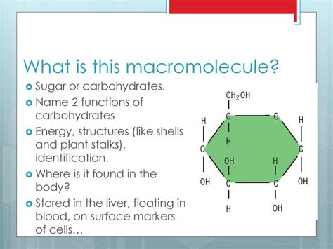 1st Macromolecule Carbohydrates Ppt Download