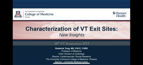 Vtsymposium Vt Ablation Sergio Conti