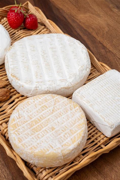 French Soft Cheeses Collection Creamy Cow S Milk Cheeses With White