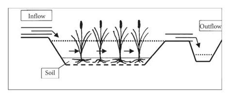 Schematic Representation Of The Free Water Surface Constructed Wetland Download Scientific