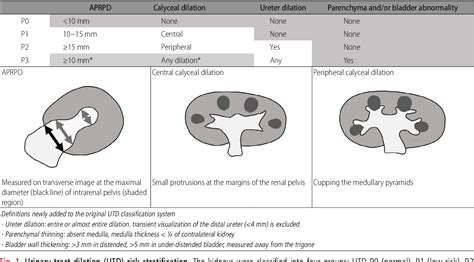 Figure 1 From Application Of The Postnatal Urinary Tract Dilation