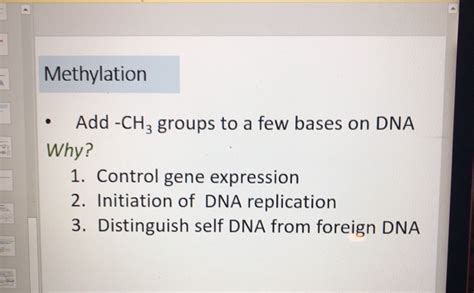 Solved Methylation • Add Ch3 Groups To A Few Bases On Dna