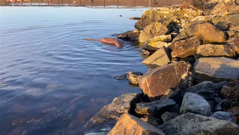 Robert Nicolson On Linkedin We Attempted To Persuade Our New Qc Into A