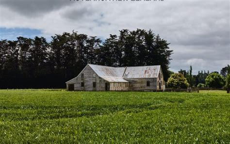 Book Spins Tale Of Historic Woolsheds