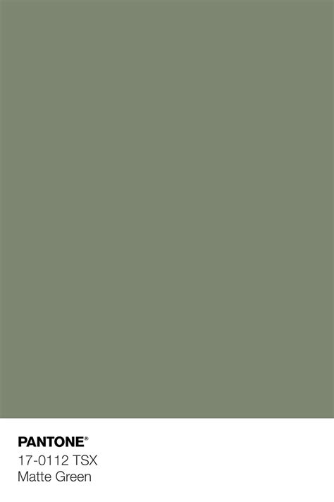 Pantone 17 0112 Tsx Matte Green Wallpaper Pantone Green Tones Muted