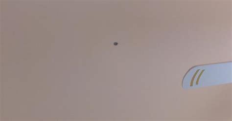 Hidden Ceiling Point Album On Imgur