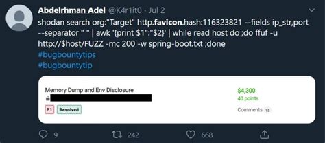 Bugbounty Salik Seraj Naik