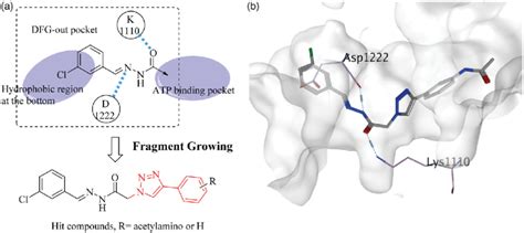 A Fragment Growing Based Virtual Screening B The Hit Compound Download Scientific Diagram