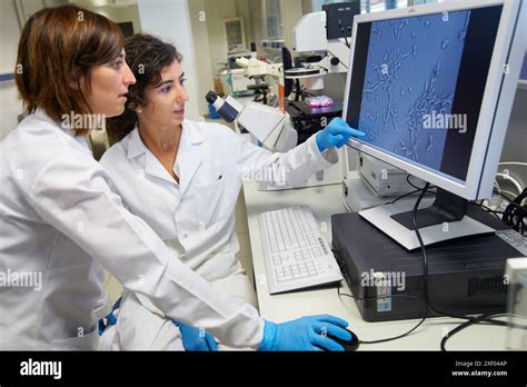 Inverted Optical Microscope Laboratory Instrumentation Photographic