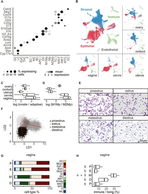 The Cycling And Aging Mouse Female Reproductive Tract At Single Cell