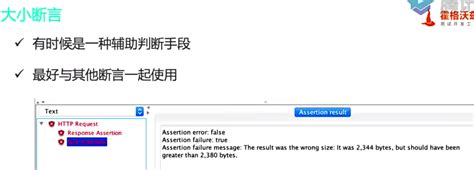 断言 sophietest 博客园