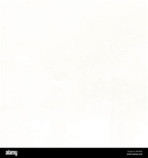 Texto Blanco