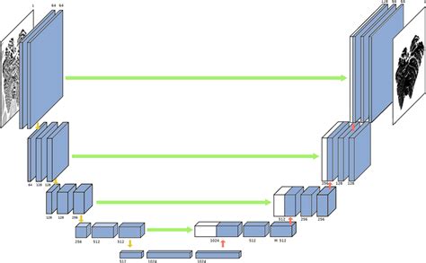 The U Net Architecture The U Net Architecture Comprised Convolutional Download Scientific
