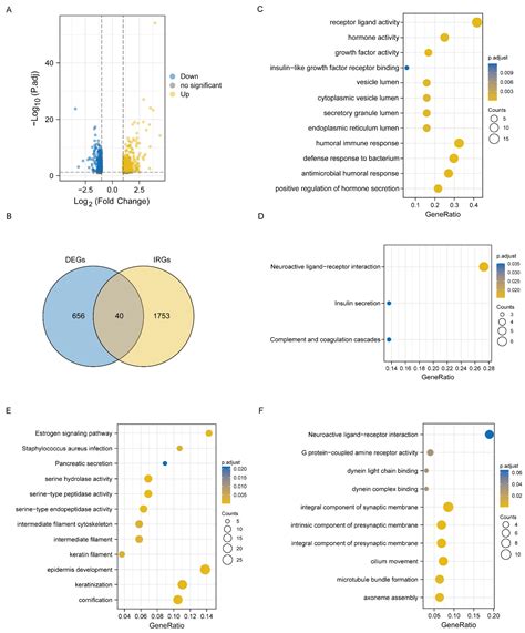 Comprehensive Analysis Of A Novel Immune Related Gene Signature In Lung Adenocarcinoma