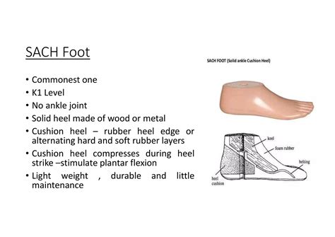 Lower Extremity Prostheses Pdf
