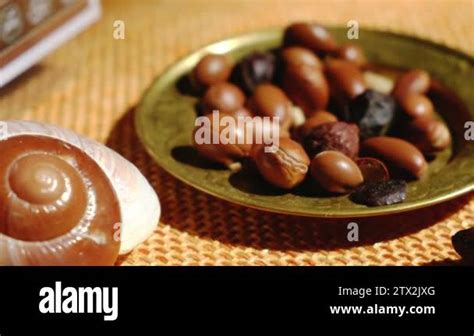 Argan Fruit Stock Videos And Footage Hd And 4k Video Clips Alamy