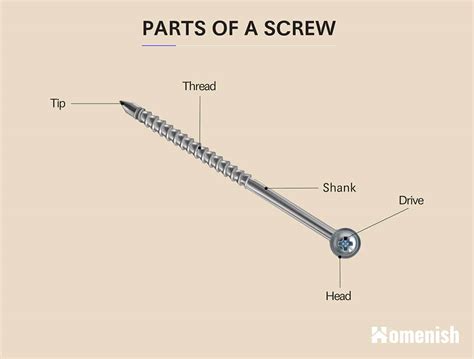What Are The Parts Of A Screw Thread At Marisa Johnson Blog