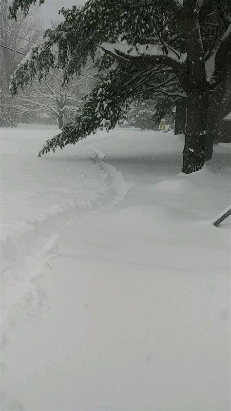 James A Murphy Dds Pa Salisbury Nc