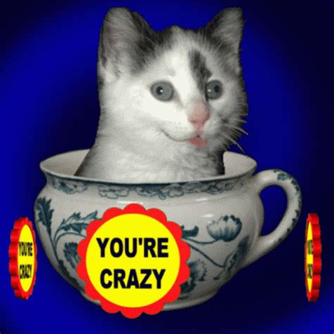 You Crazy S