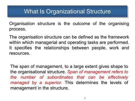 Organization Structure Ppt Pptx
