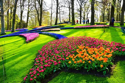 When To Visit Keukenhof Gardens At Abigail Neil Blog