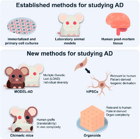 Figure 1 From An Overview Of Astrocyte Responses In Genetically Induced Alzheimers Disease