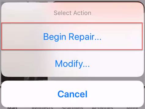 Repairing A Scaffold Ios