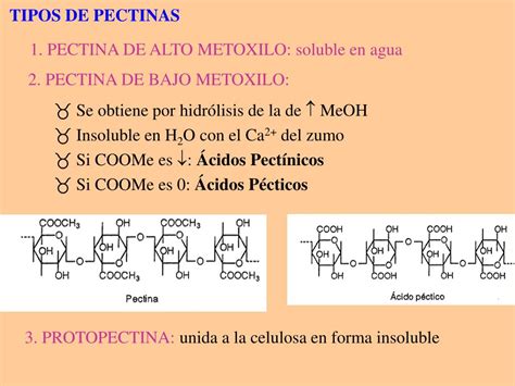 Ppt QuÍmica De Las Frutas Powerpoint Presentation Free Download Id