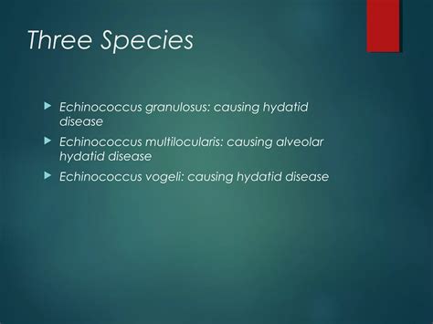 Echinococcus Ppt