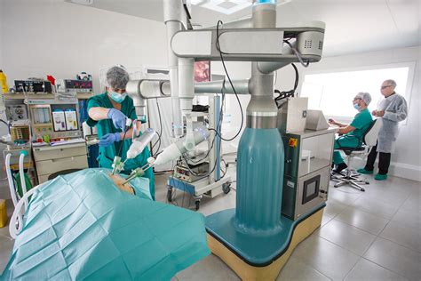 Rob Surgical – Anna Mas