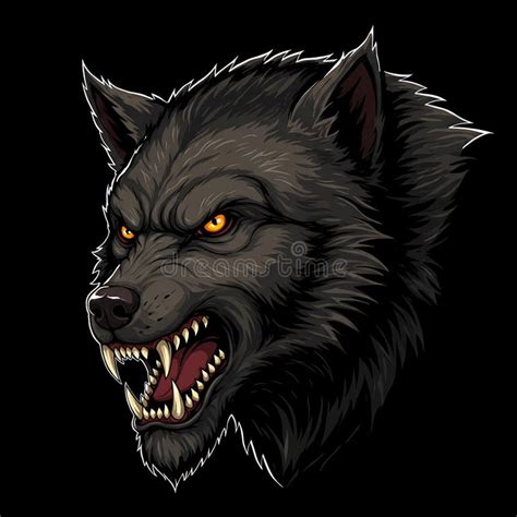 Illustration Of An Aggressive Wolf S Head On A Black Background The Wolf Has Stock Illustration